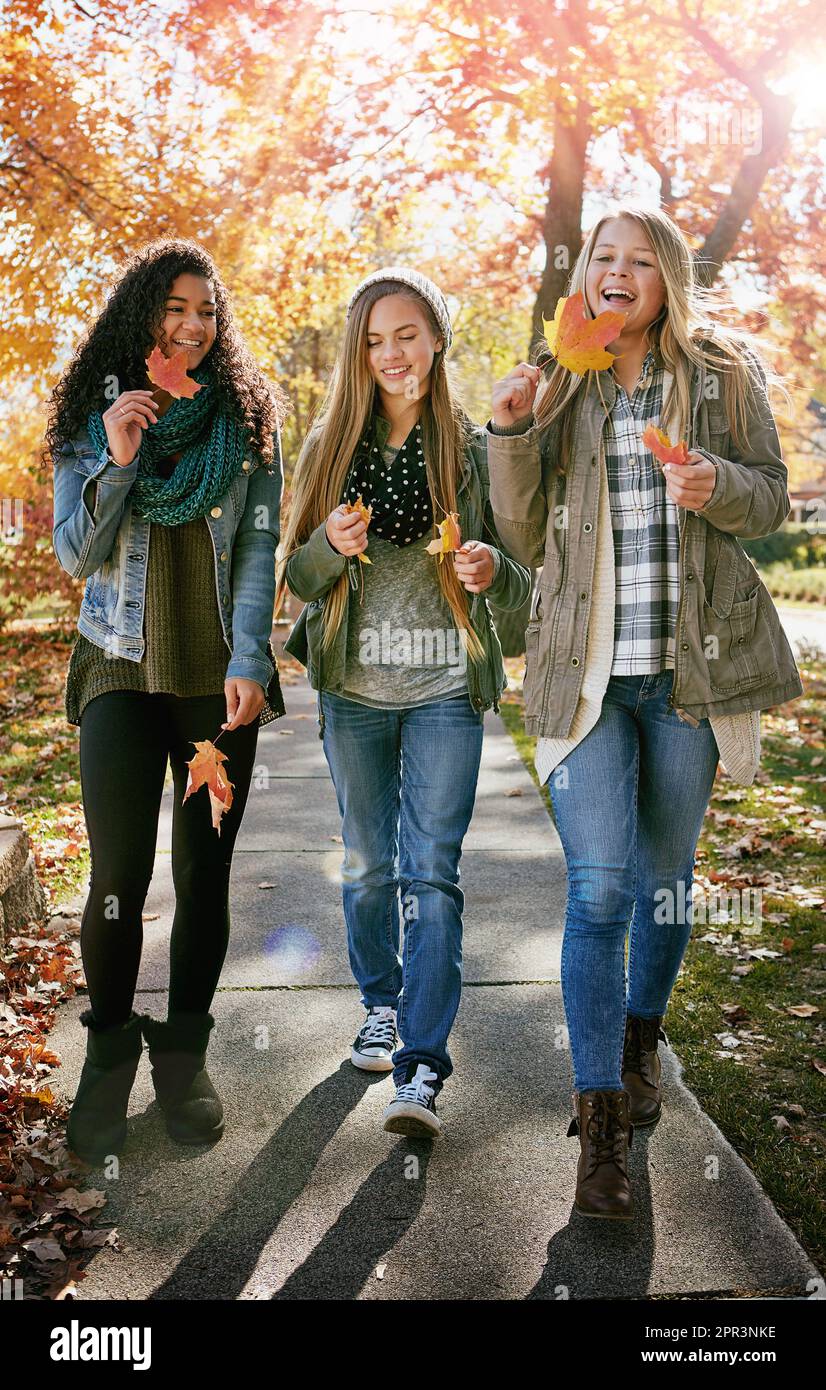 They find happiness in the small things. a group of teenage friends ...