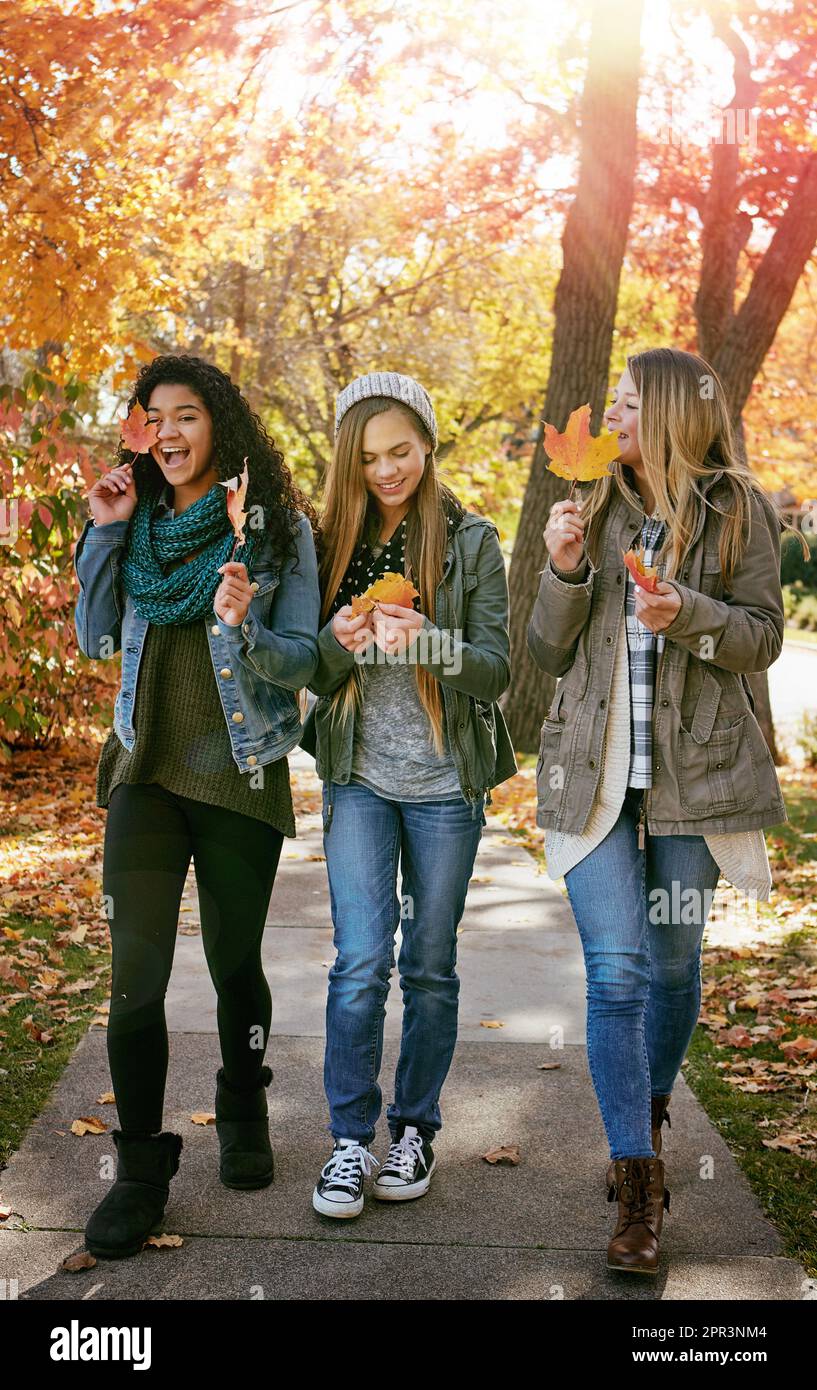 Enjoying life to the fullest. a group of teenage friends enjoying an ...