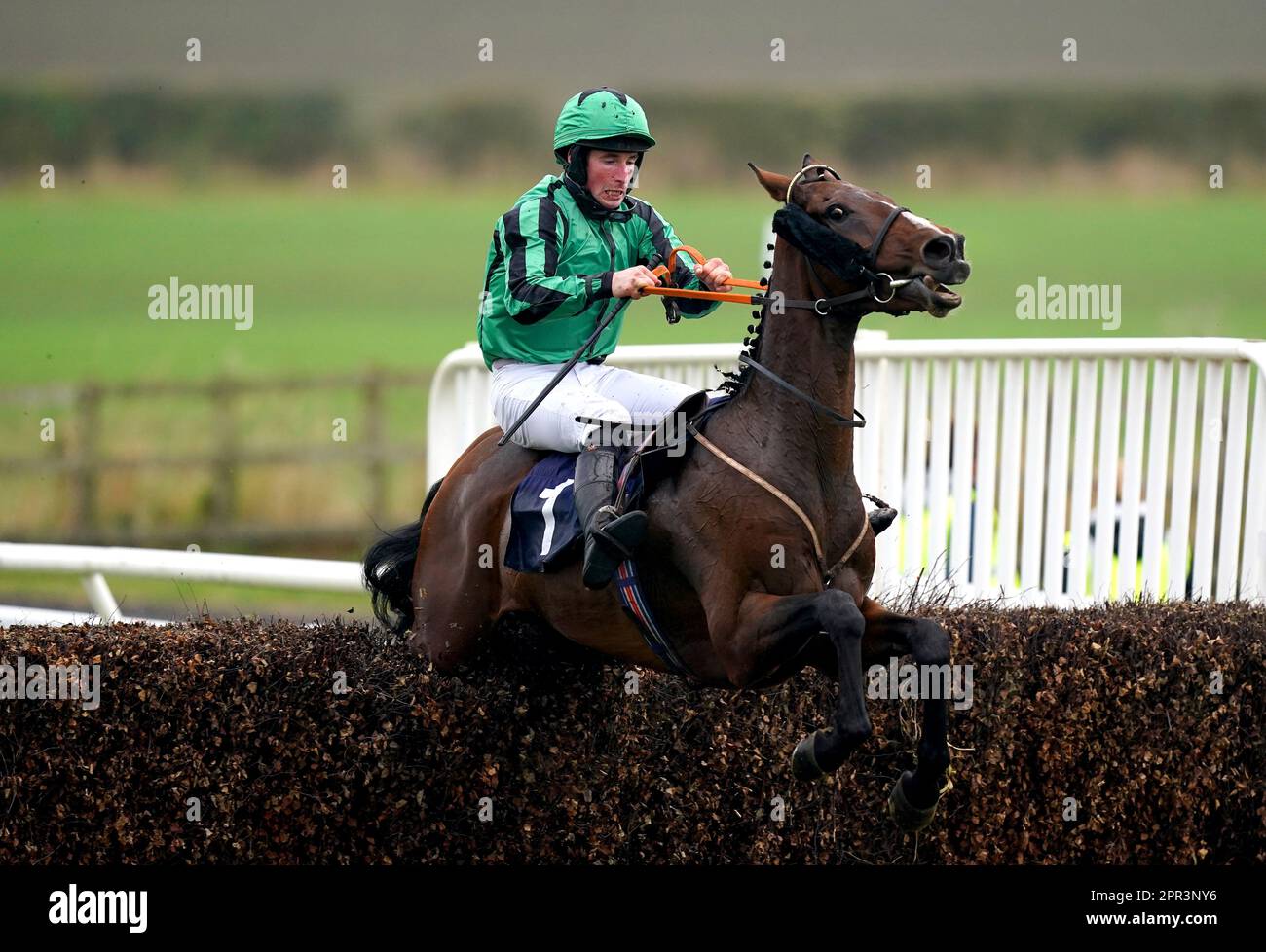 Hewick gold cup hi-res stock photography and images - Alamy