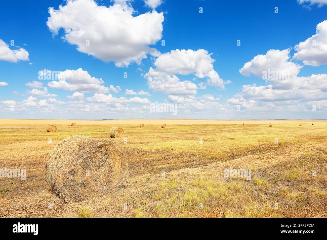 Agricultural landscape haystacks on the field and blue sky background ...