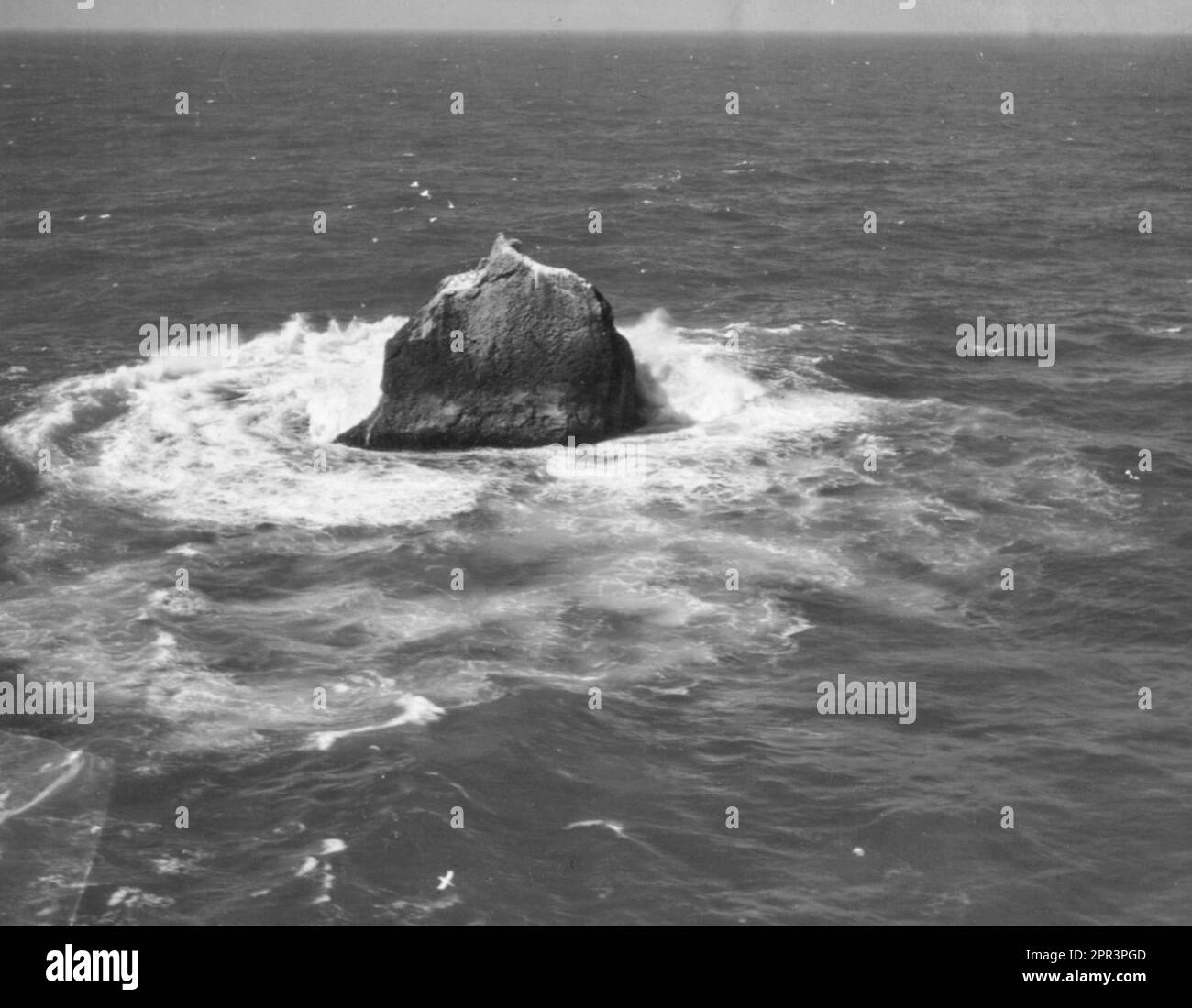 Flora and fauna research Black and White Stock Photos & Images - Alamy