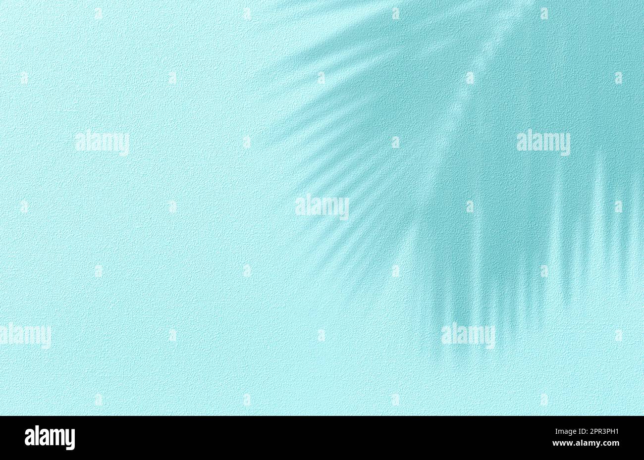 Panorama of texture wall with coconut palm leaf shadow on turquoise ...
