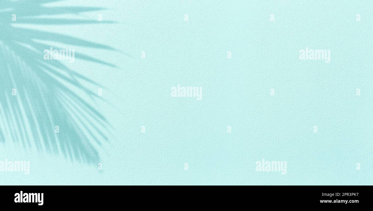 Panorama of texture wall with coconut palm leaf shadow on turquoise ...
