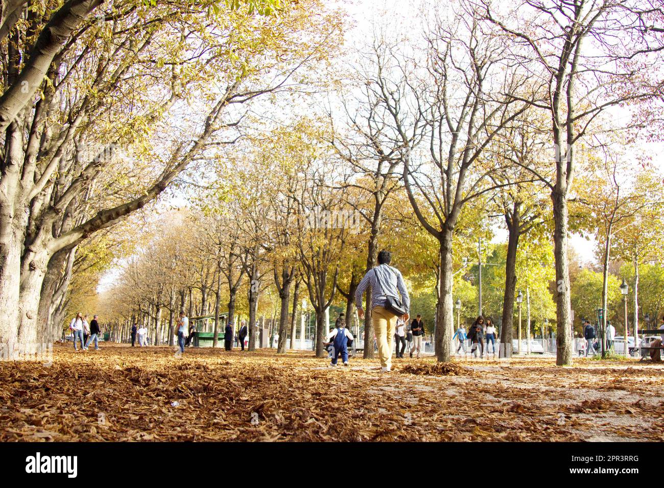 Paris, France - September 24, 2017: Alleys of the old park (secular ...