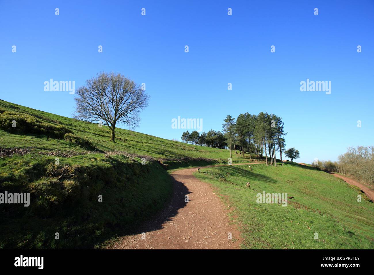 Footpath on the Clent hills, Worcestershire, England, UK Stock Photo ...