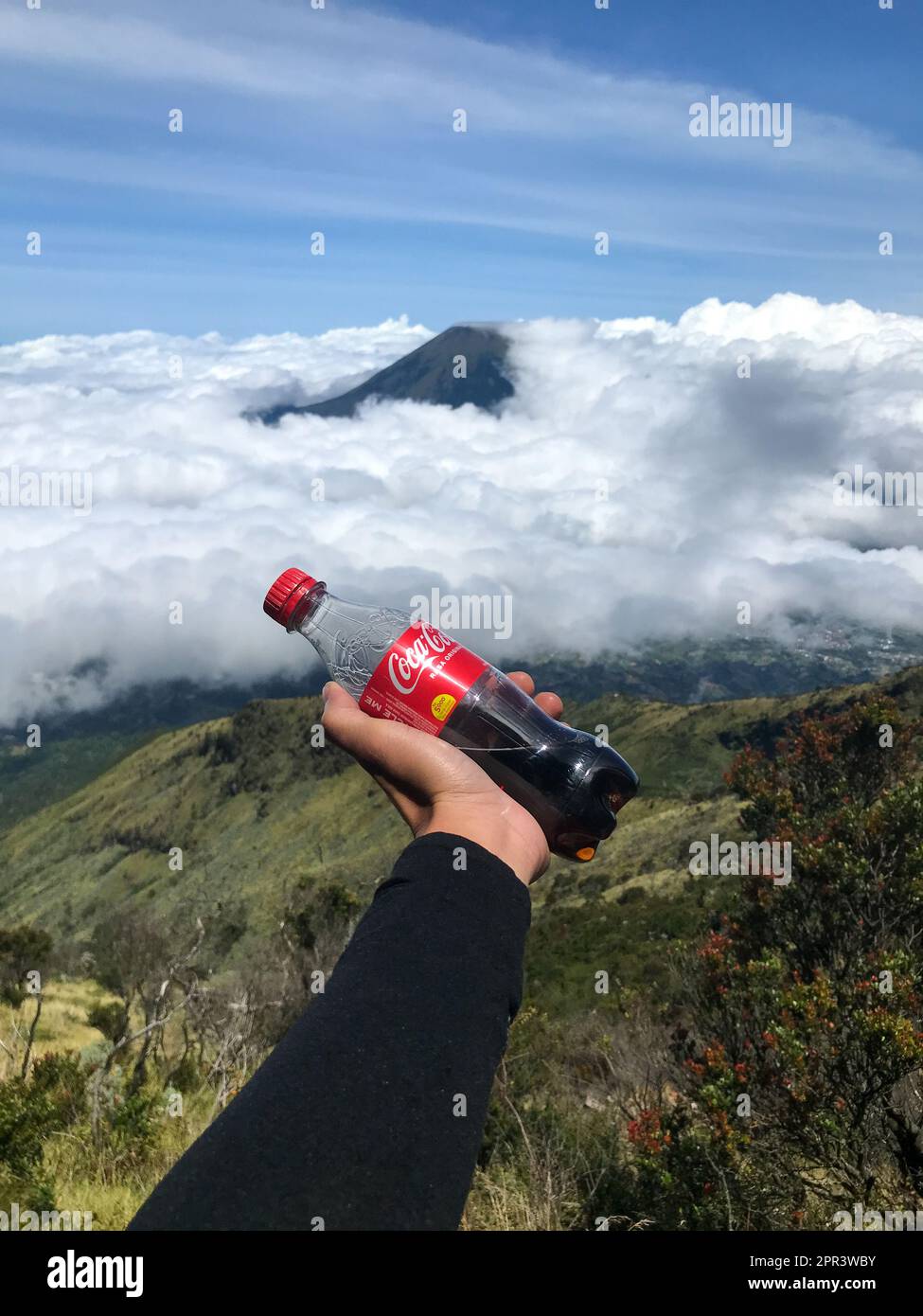 Coca cola cocacola hi-res stock photography and images - Alamy