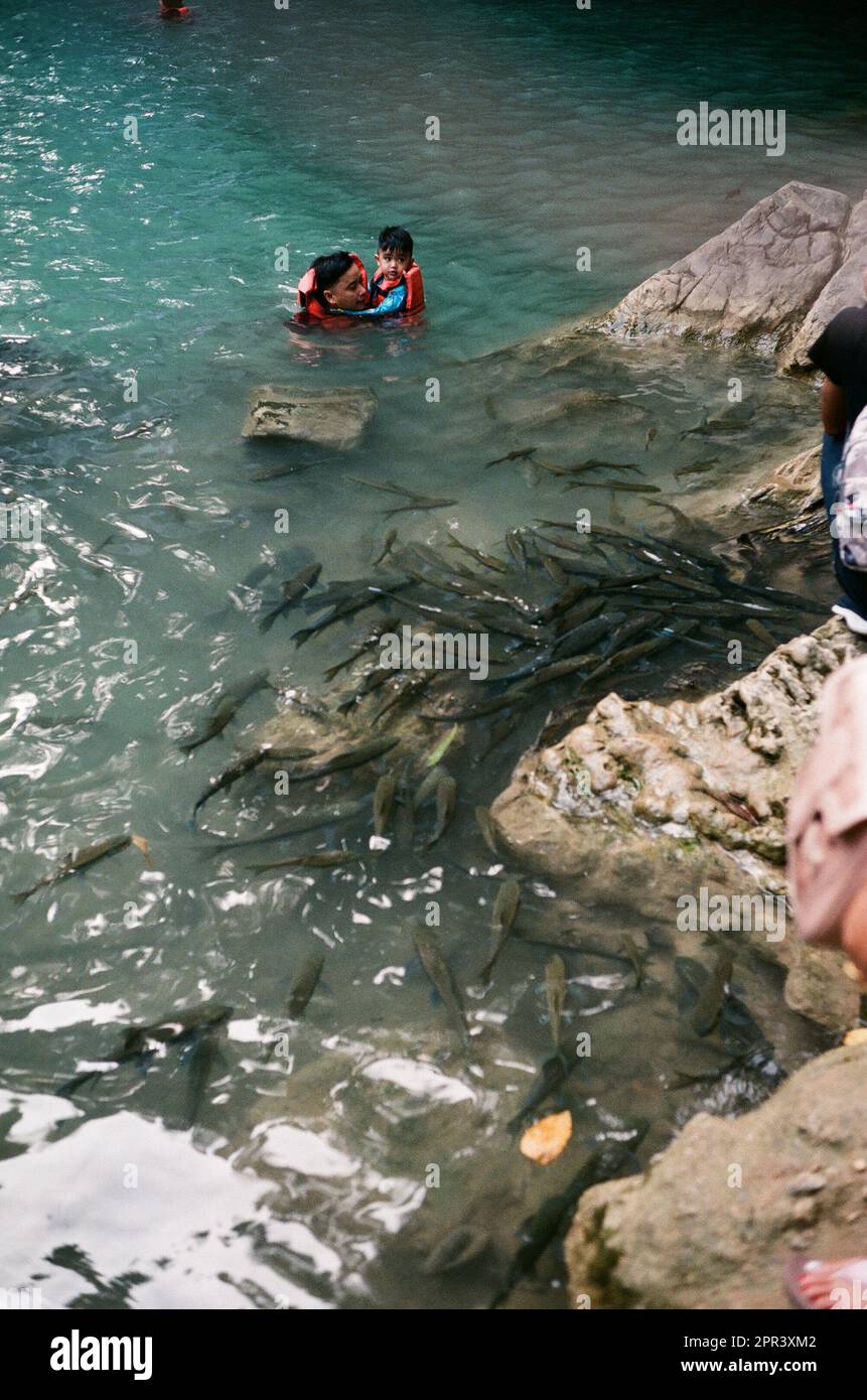 Beautiful waterfall and plenty of fish Stock Photo - Alamy