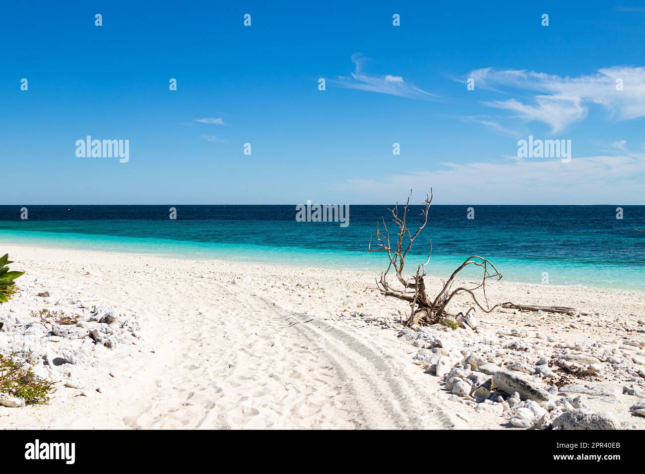 Wilson Island, Great Barrier Reef, Queensland Stock Photo - Alamy