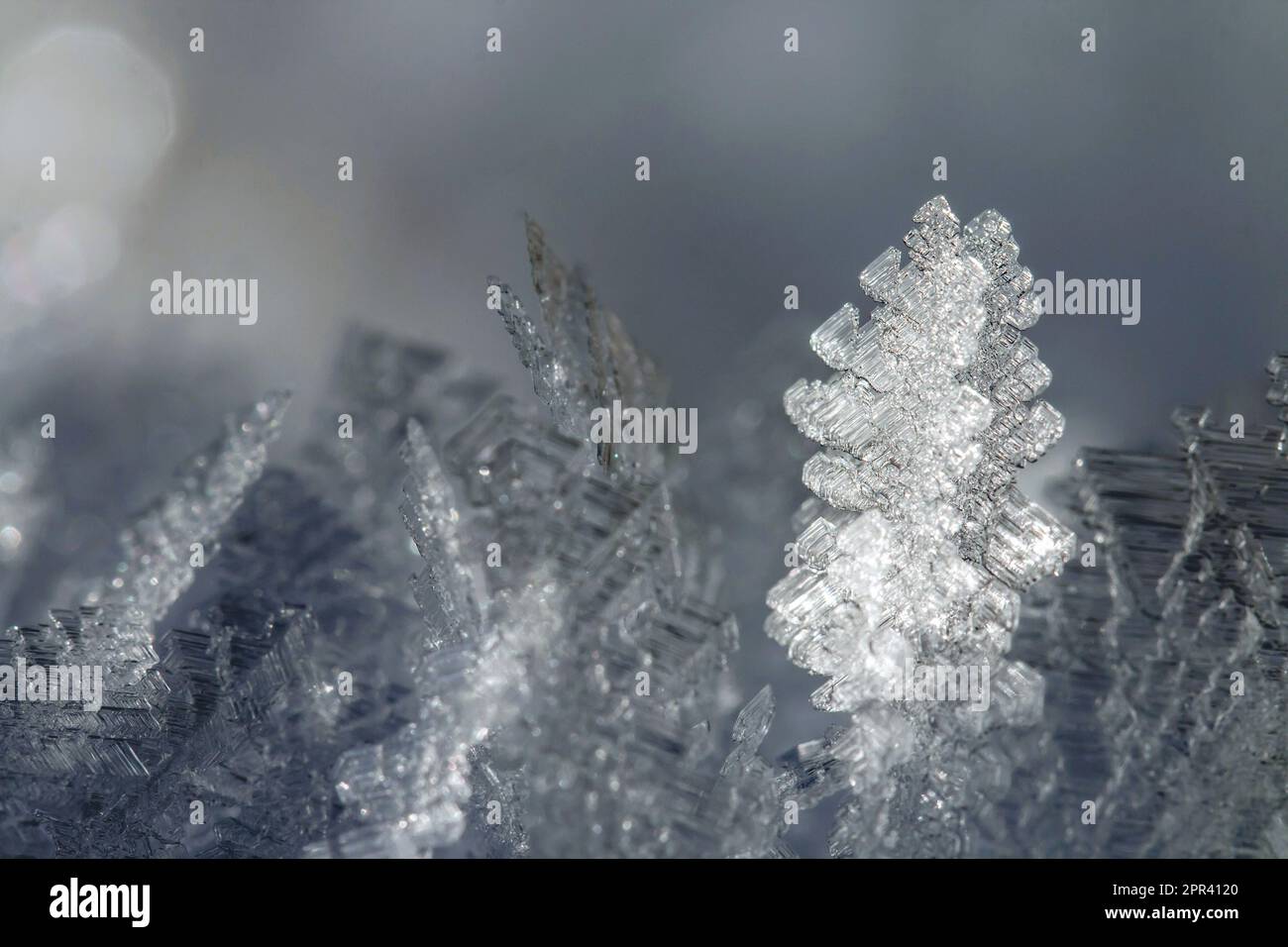 ice crystals, Germany Stock Photo - Alamy