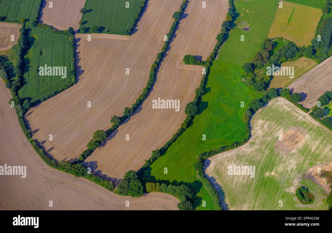 field landscape and grassland with hedges, aerial view, Germany ...