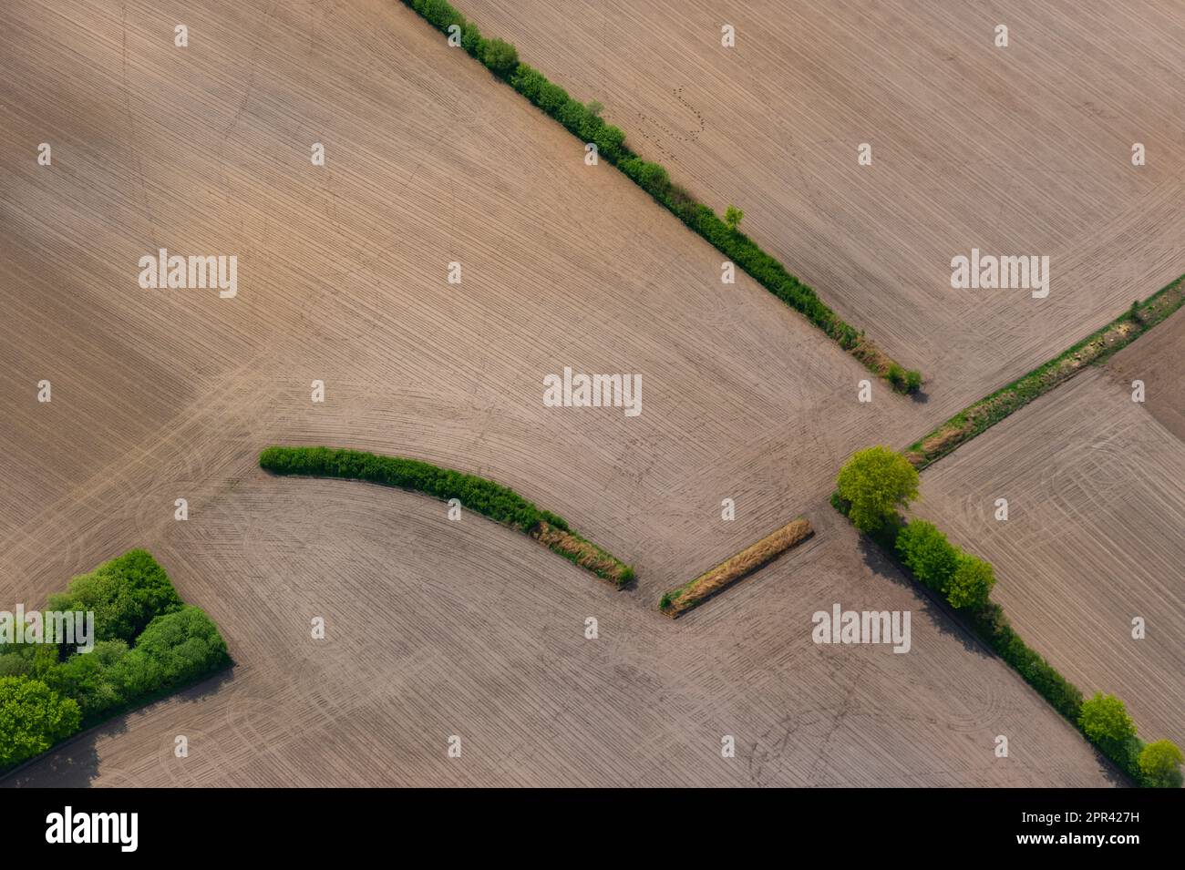 field landscape with hedges, aerial view, Germany, Schleswig-Holstein ...