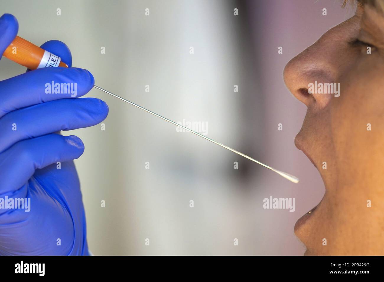 saliva sample is taken with cotton swab, Germany Stock Photo - Alamy