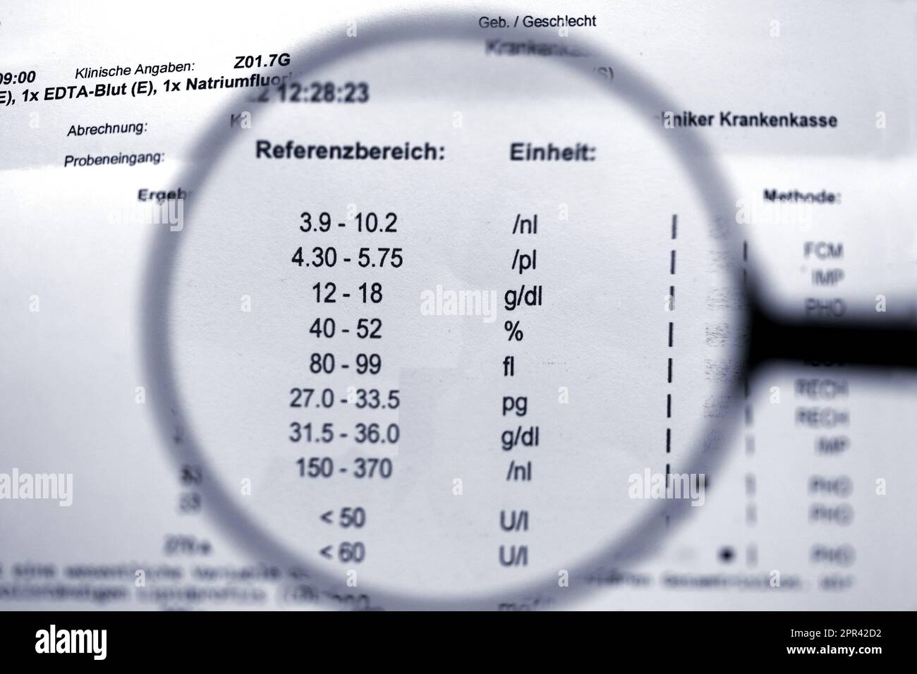 result of a blood test, haemogram, view with a loupe, reference area ...