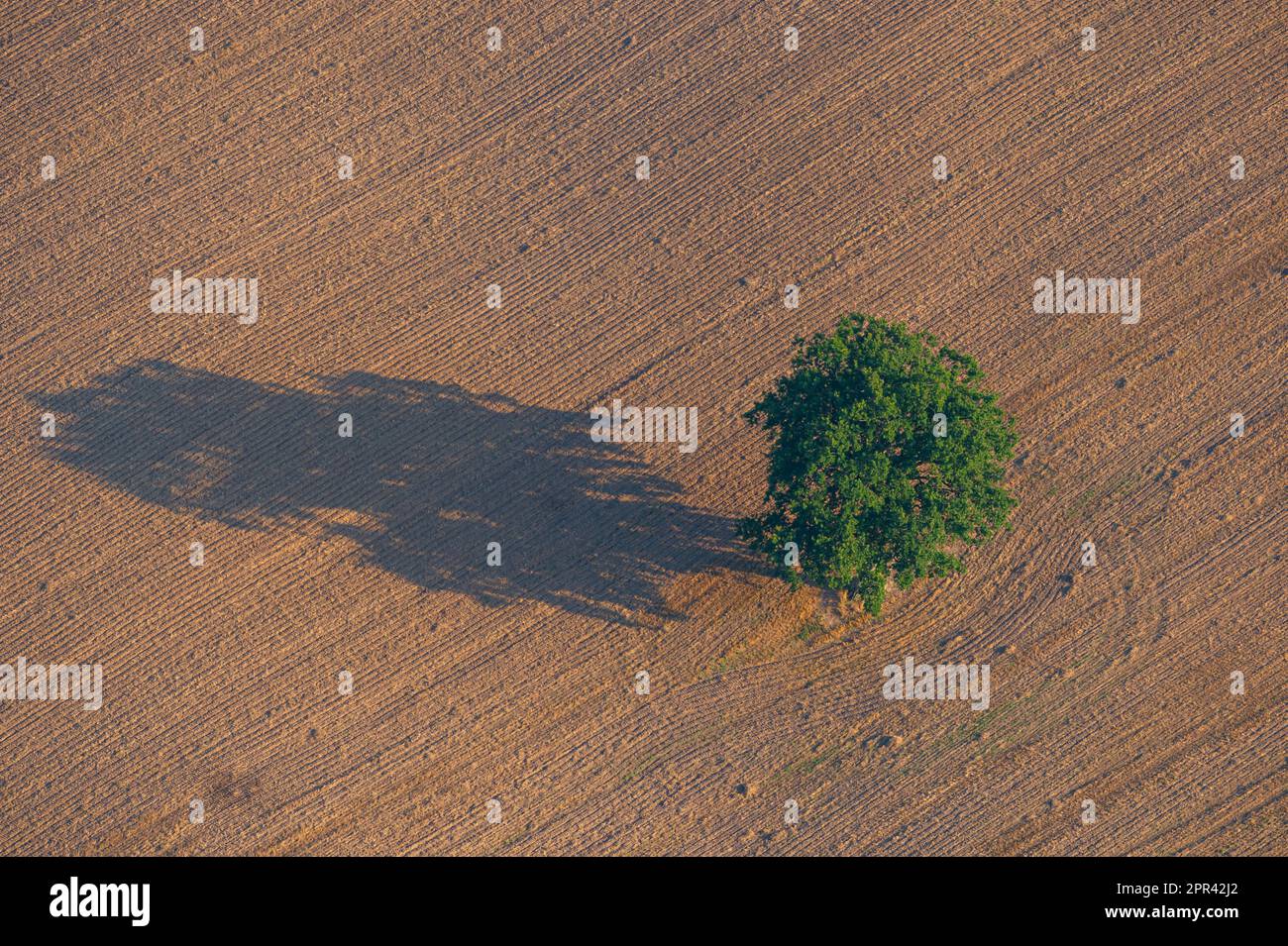 Open field hi-res stock photography and images - Alamy