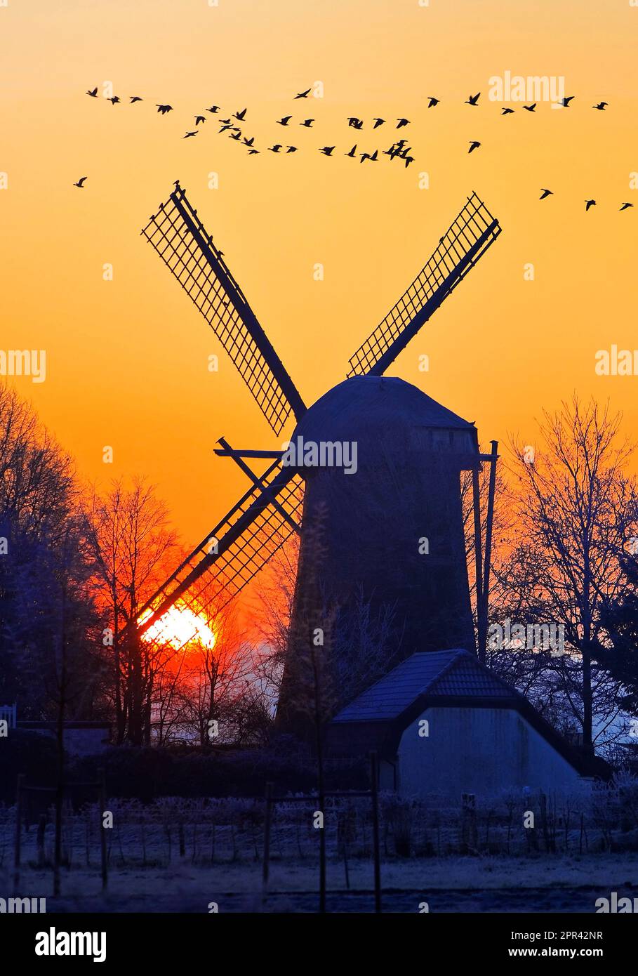 cultural landscape Dueffel with the windmill in Mehr at sunrise ...