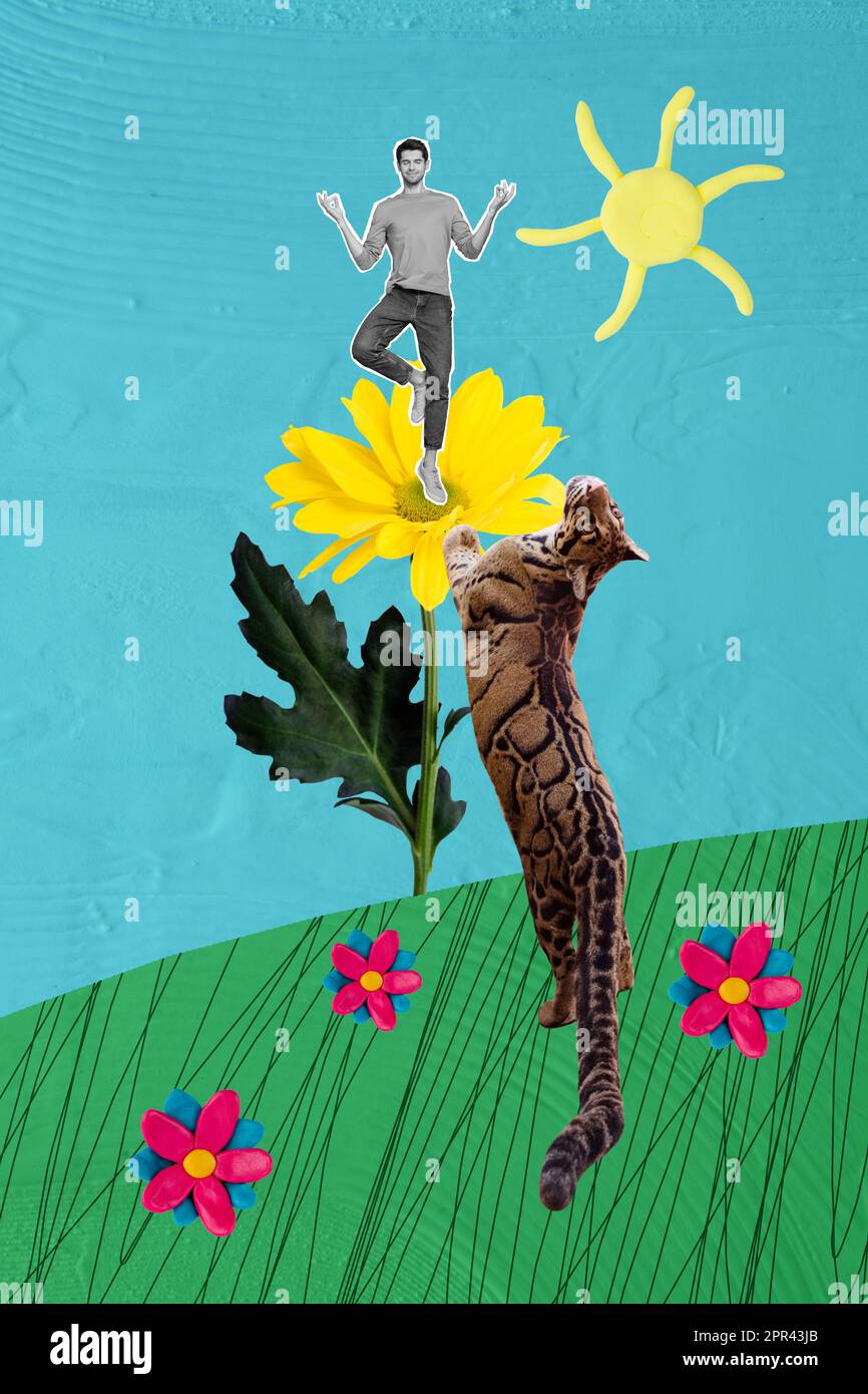 Surreal creative image collage of calm guy on summer safari climb high ...