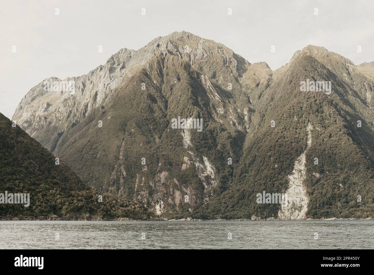 Fjord landscape. Milford Sound in New Zealand. Travel Stock Photo - Alamy