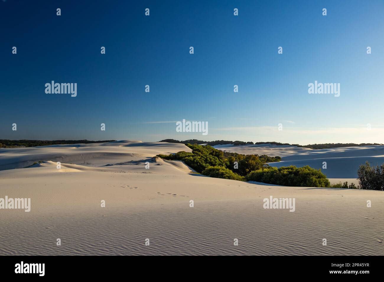 Little sandhills hi-res stock photography and images - Alamy