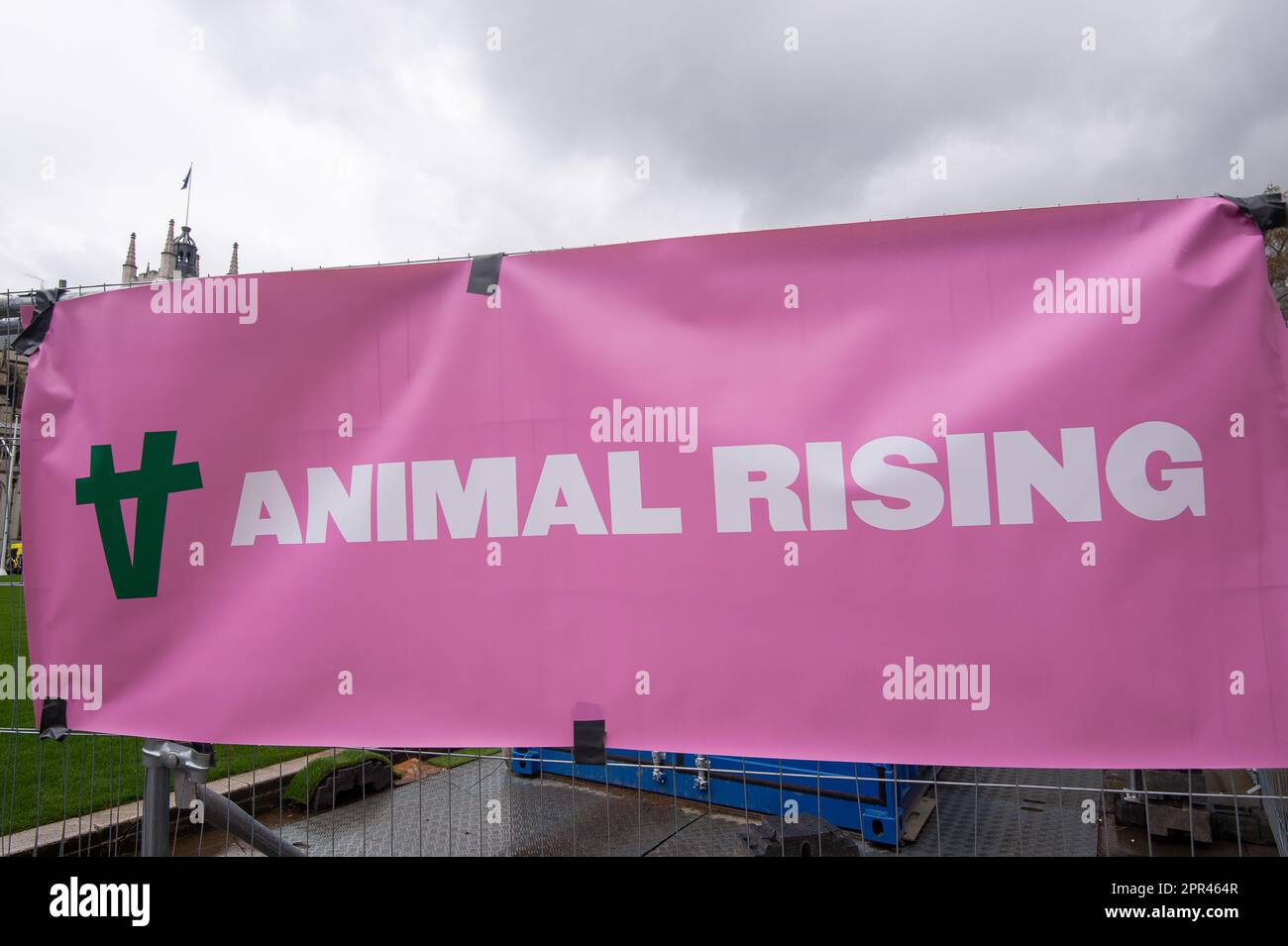 Animal rising banner hi-res stock photography and images - Alamy
