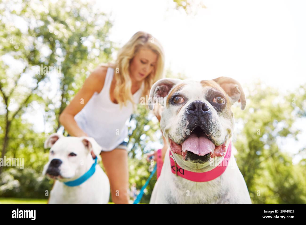 They are wonderful little creatures with such a pesonality. a young ...
