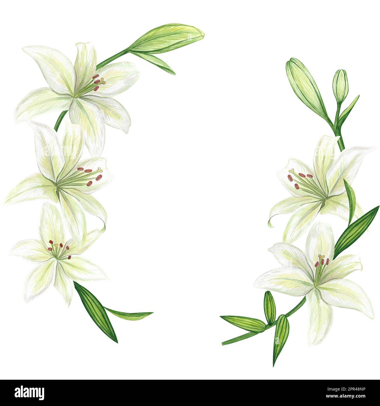 Romantic Floral Wreath | Spring creative round frame with wite lilies ...