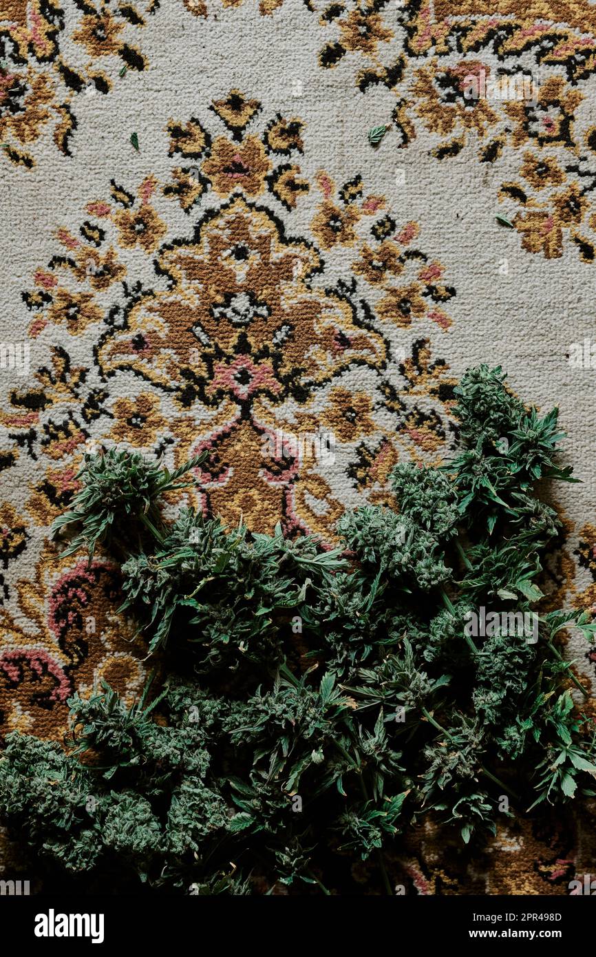 marijuana buds on a very old Persian carpet. Cannabis and drug concept ...