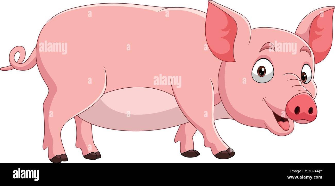 Cartoon funny pig on white background Stock Vector Image & Art - Alamy