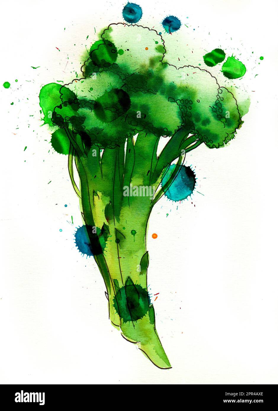 Bunch of broccoli. Hand-drawn ink and watercolor sketch with splatters ...