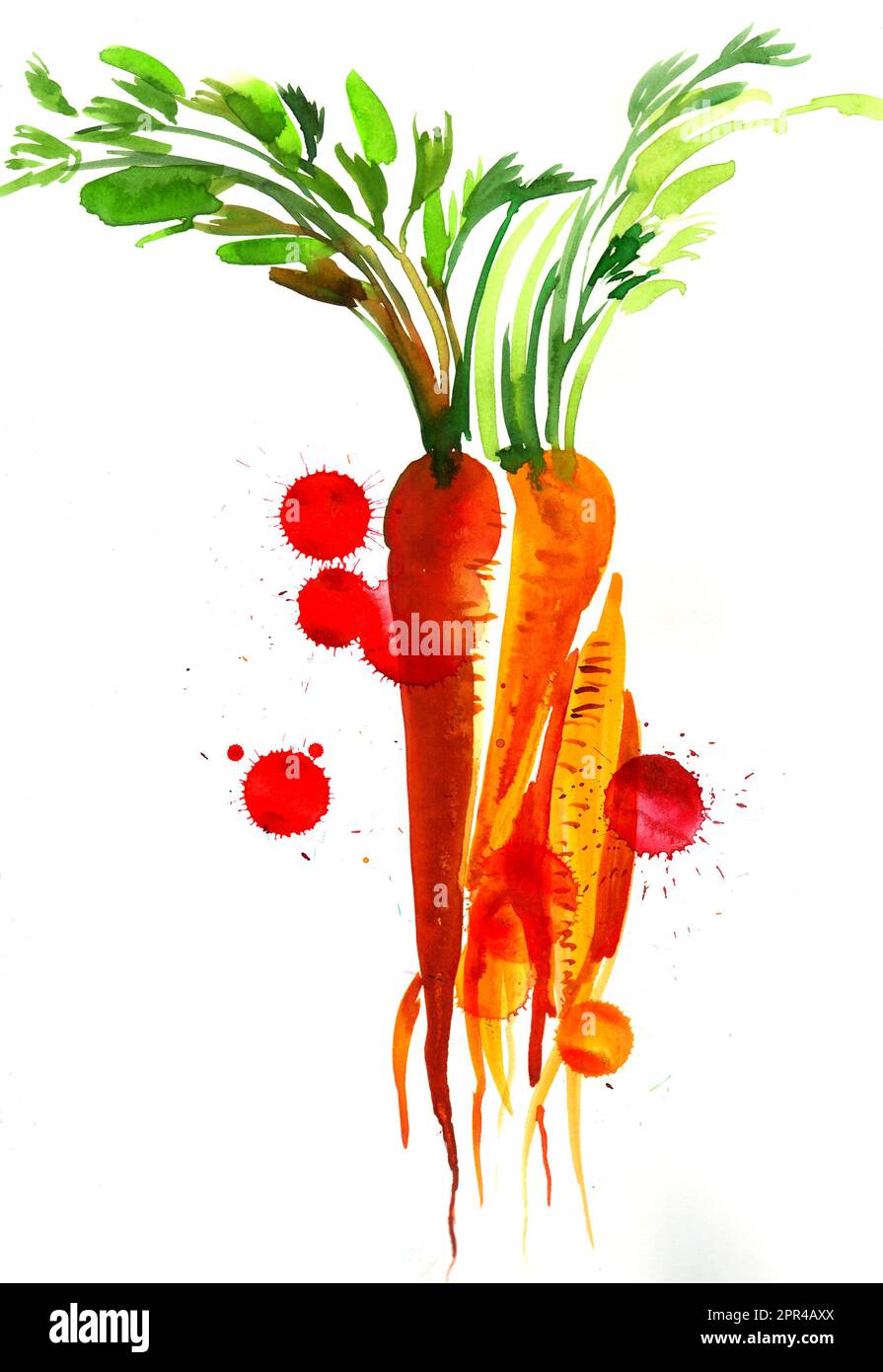 Bunch Of Carrots Drawing