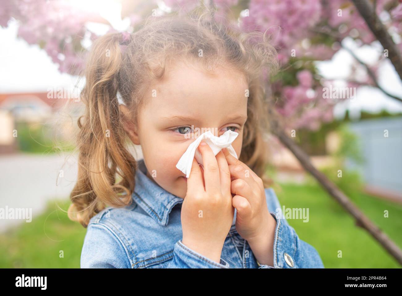 The child wipes his nose with a napkin Stock Photo - Alamy