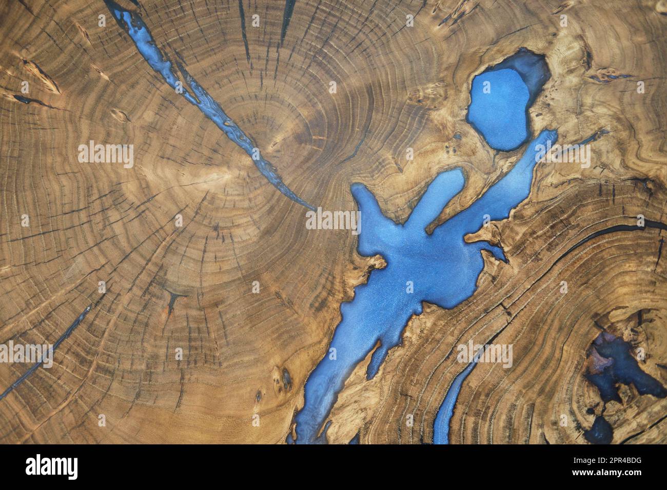 Cut of natural wood with inserts of blue vegetable epoxy resin Stock ...
