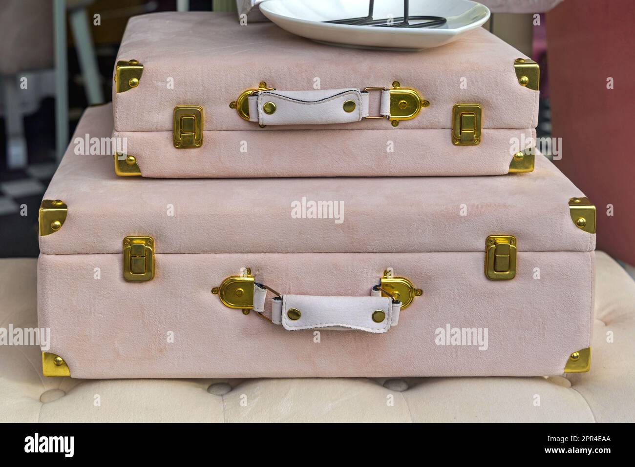 Two Pink Plush Suitcases With Golden Details Luxuryy Style Luggage Set ...