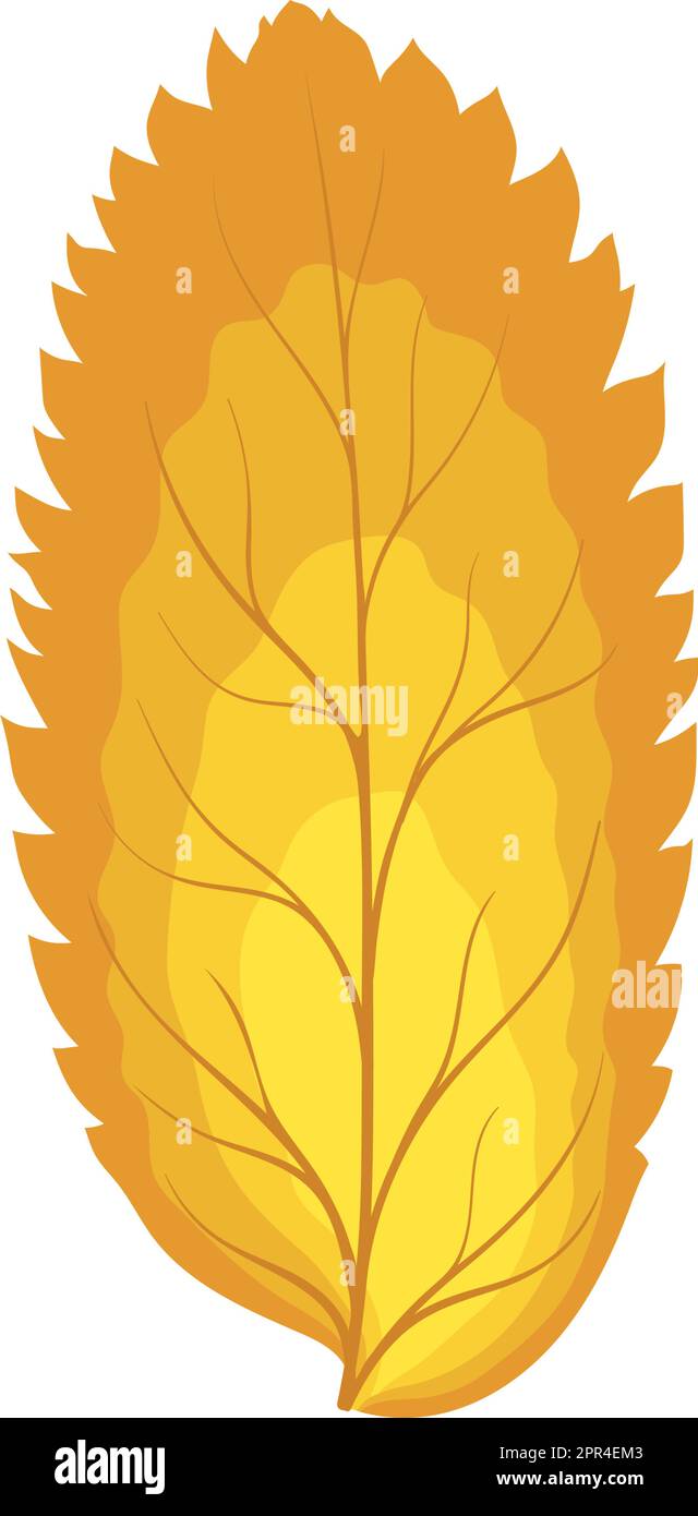 Autumn Rowan Leaf Stock Vector Image & Art - Alamy