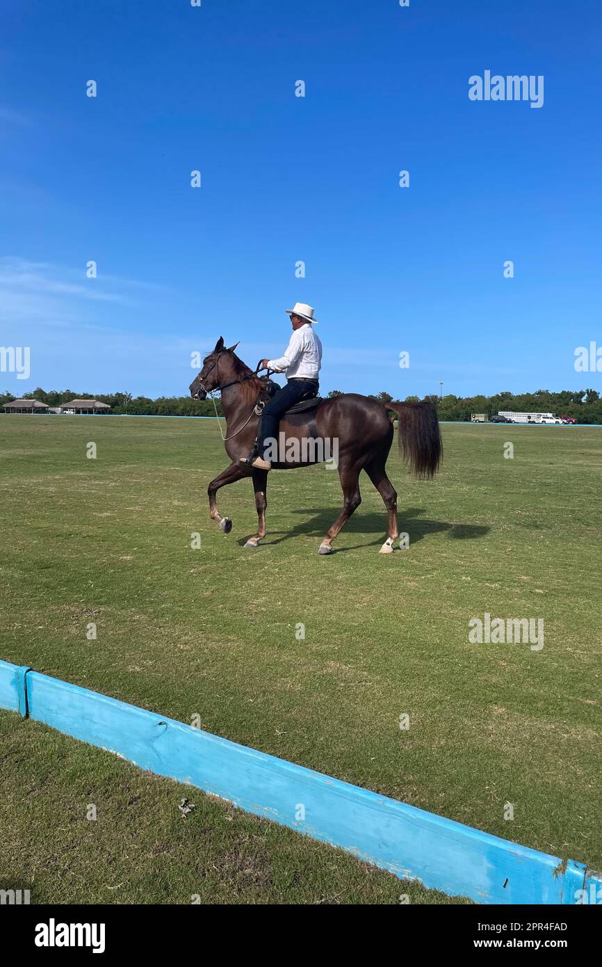 Polo game in Punta Cana, Dominican Republic Stock Photo - Alamy