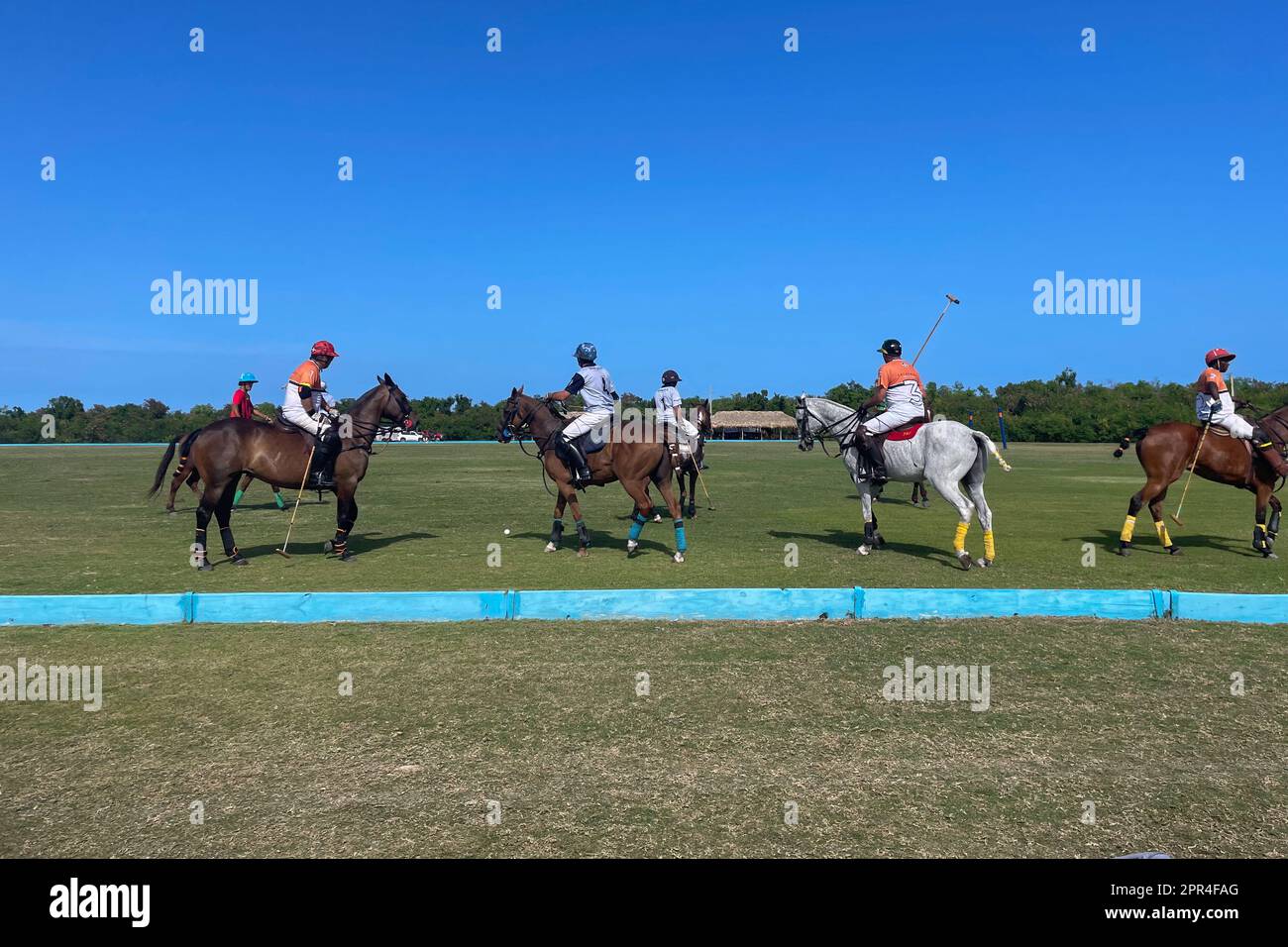 Polo game in Punta Cana, Dominican Republic Stock Photo - Alamy
