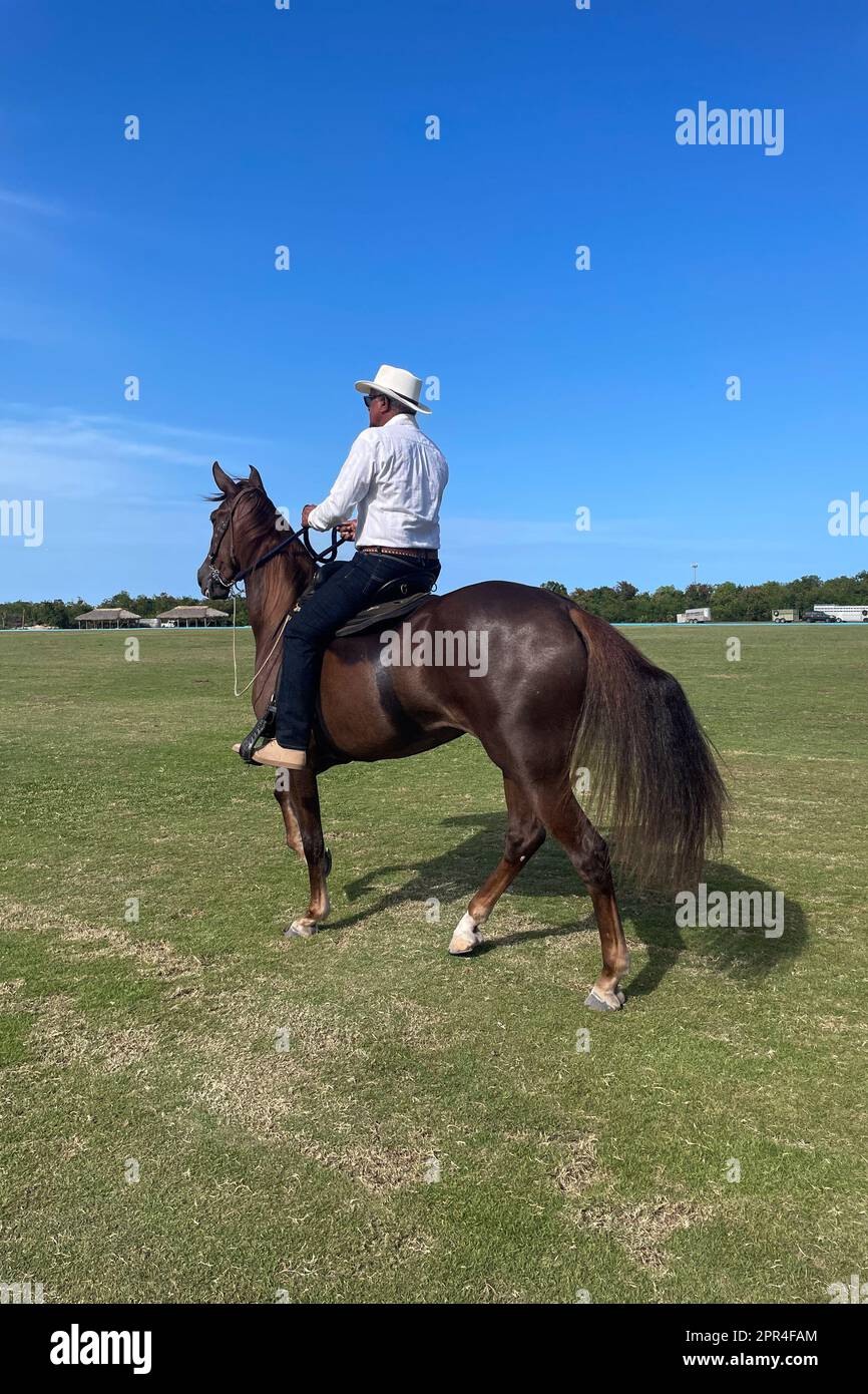 Polo game in Punta Cana, Dominican Republic Stock Photo - Alamy