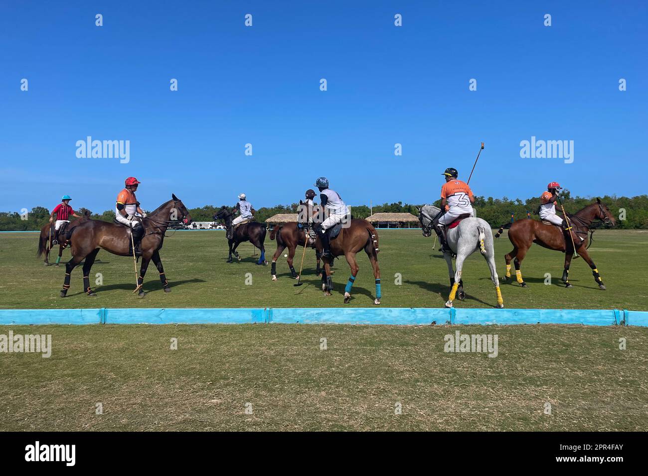 Polo game in Punta Cana, Dominican Republic Stock Photo - Alamy