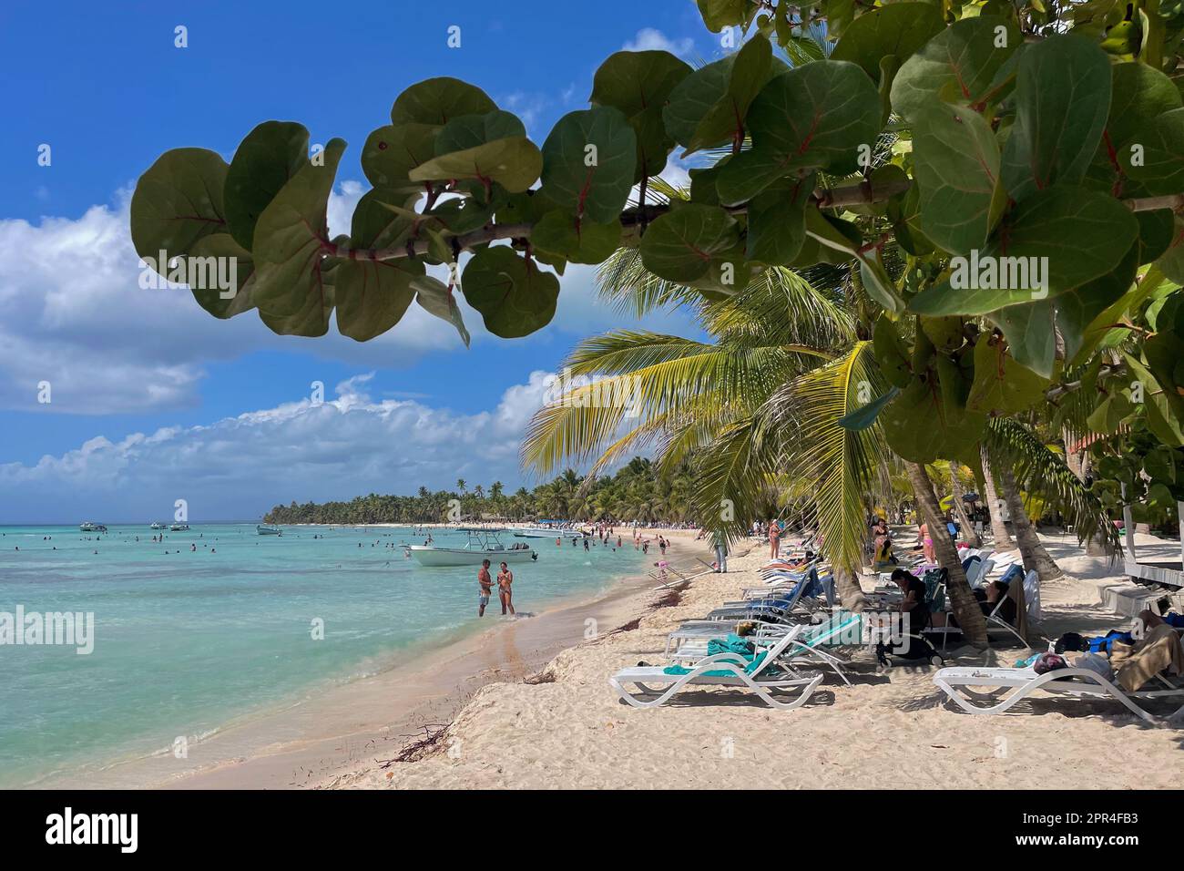 Cotubanamá national park hi-res stock photography and images - Alamy