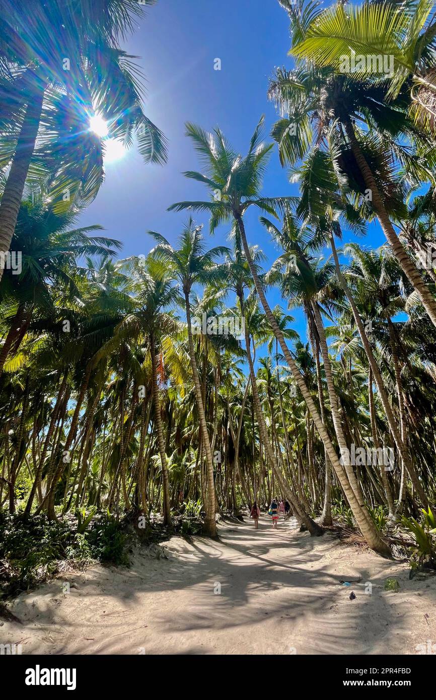 Cotubanama National Park, Isla Saona, Dominican Republic Stock Photo ...
