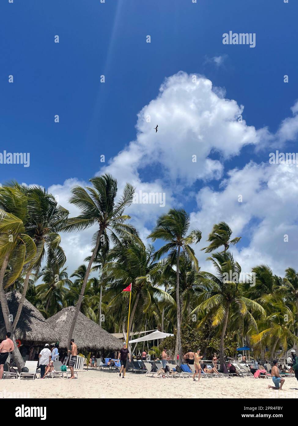 Cotubanama National Park, Isla Saona, Dominican Republic Stock Photo ...
