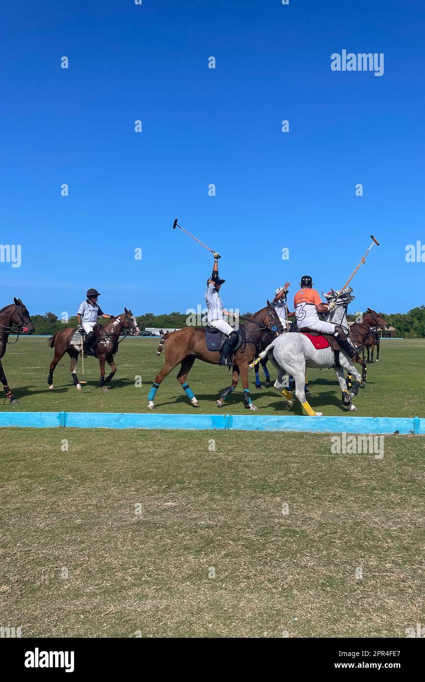 Polo game in Punta Cana, Dominican Republic Stock Photo - Alamy