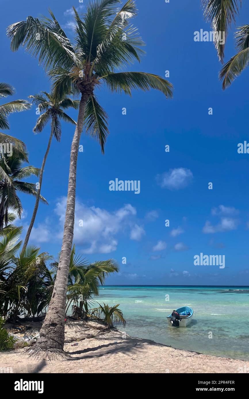 Cotubanama National Park, Isla Saona, Dominican Republic Stock Photo ...