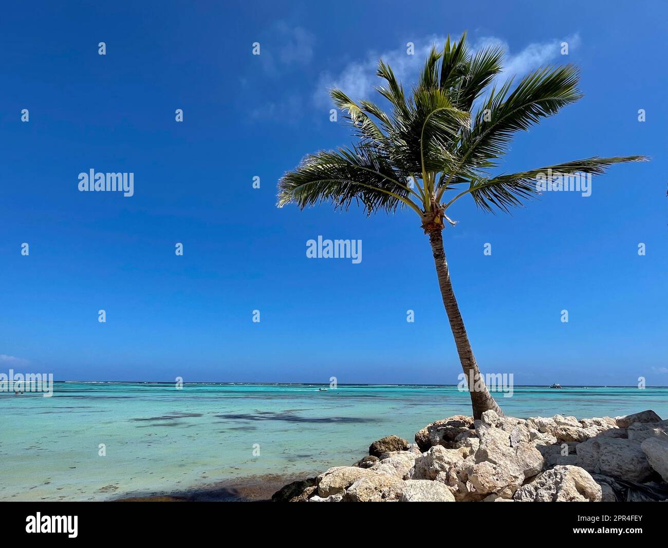 Playa blanca punta cana dominican hi-res stock photography and images ...