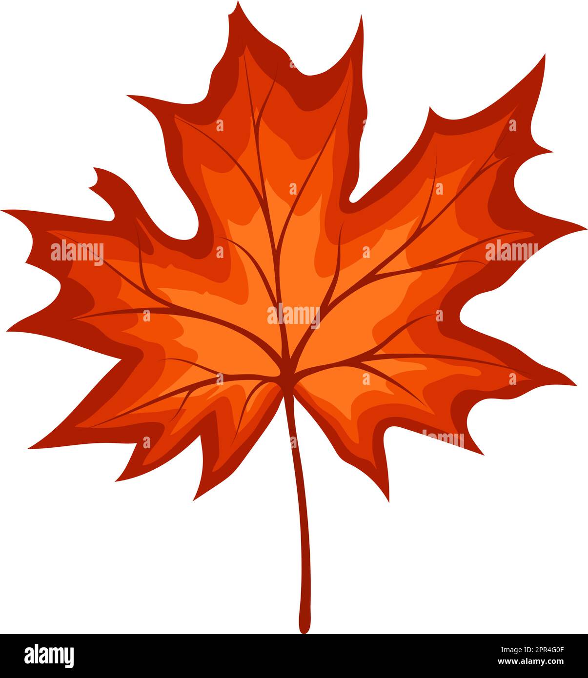 Maple Autumn Leaf Stock Vector Image & Art - Alamy