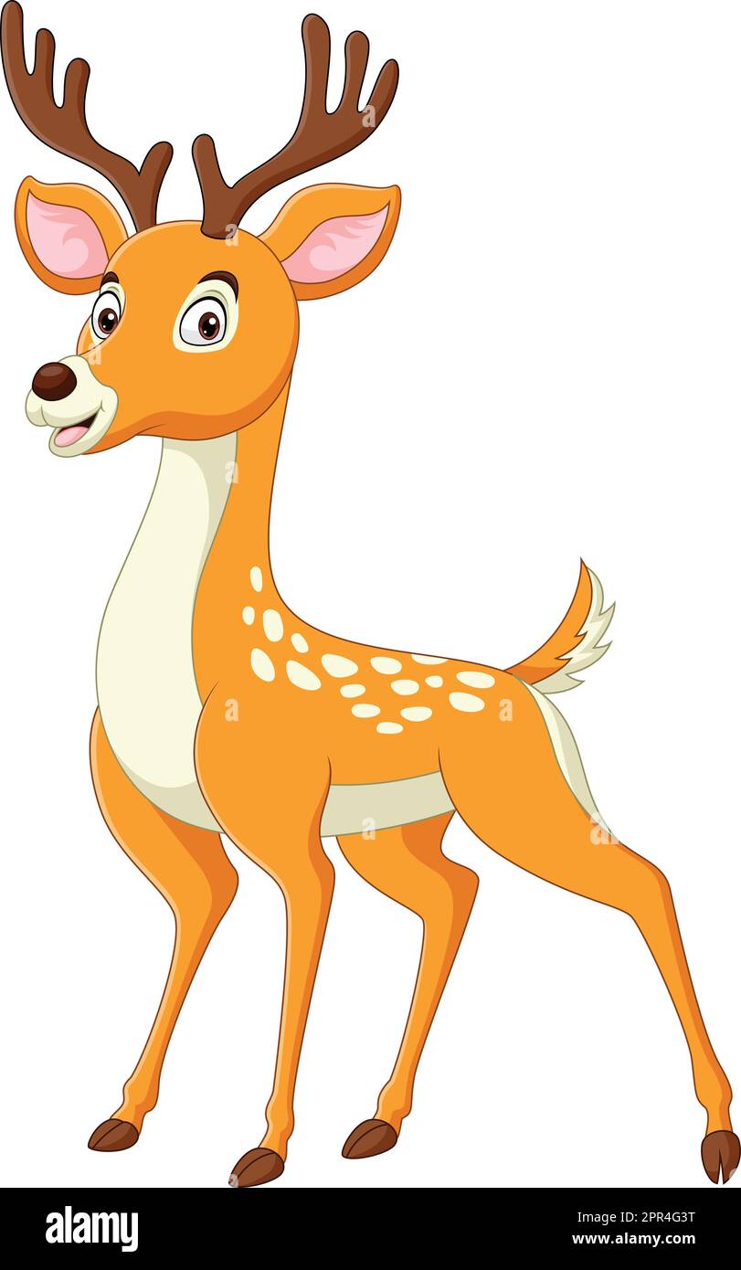 Cartoon funny deer on white background Stock Vector Image & Art - Alamy
