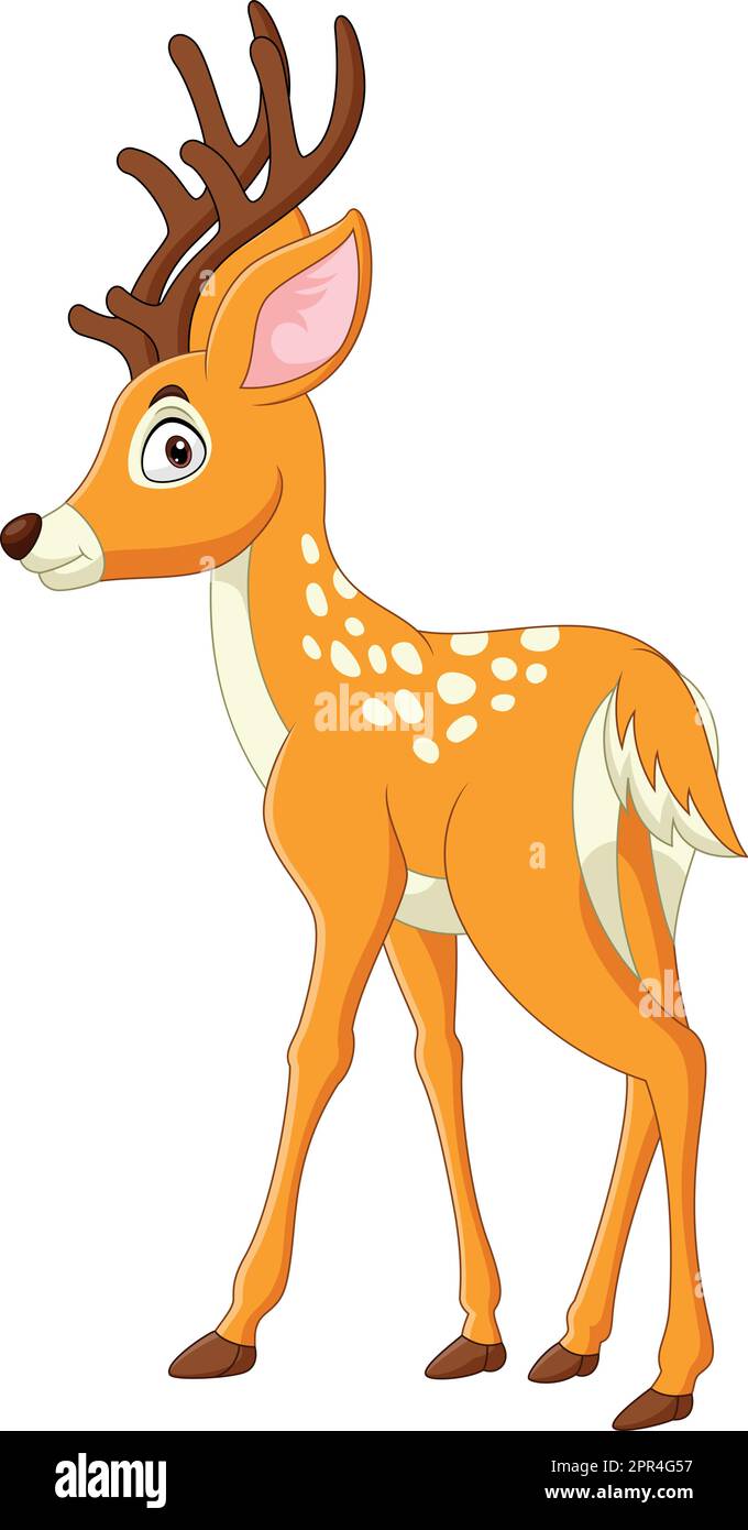 Cartoon funny deer on white background Stock Vector Image & Art - Alamy