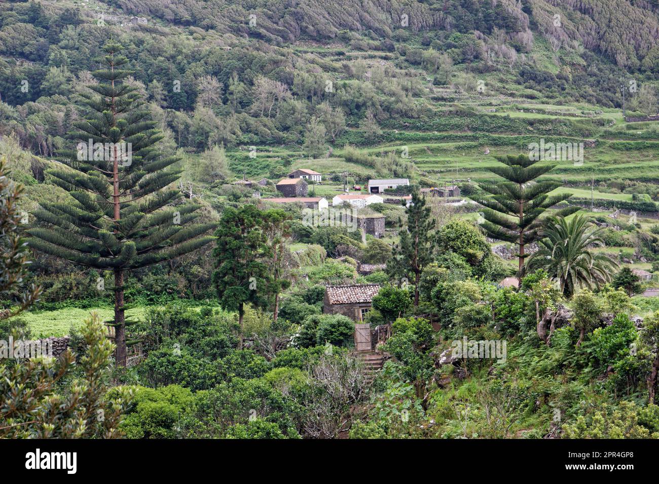 The small town of Fajãzinha on Flores island, Azores, Portugal Stock ...