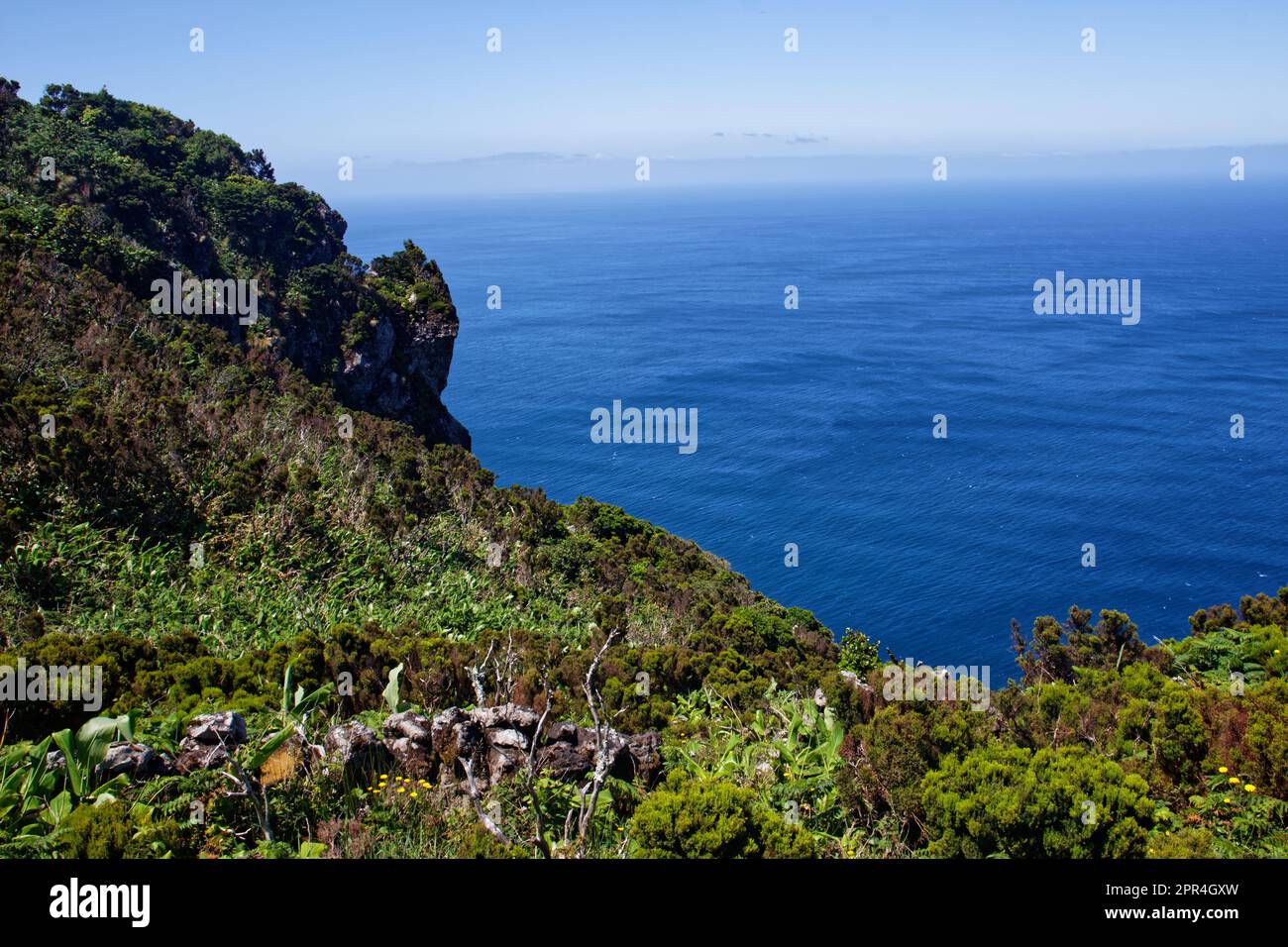 A view of the North Atlantic from a high cliff of Flores island, Azores ...