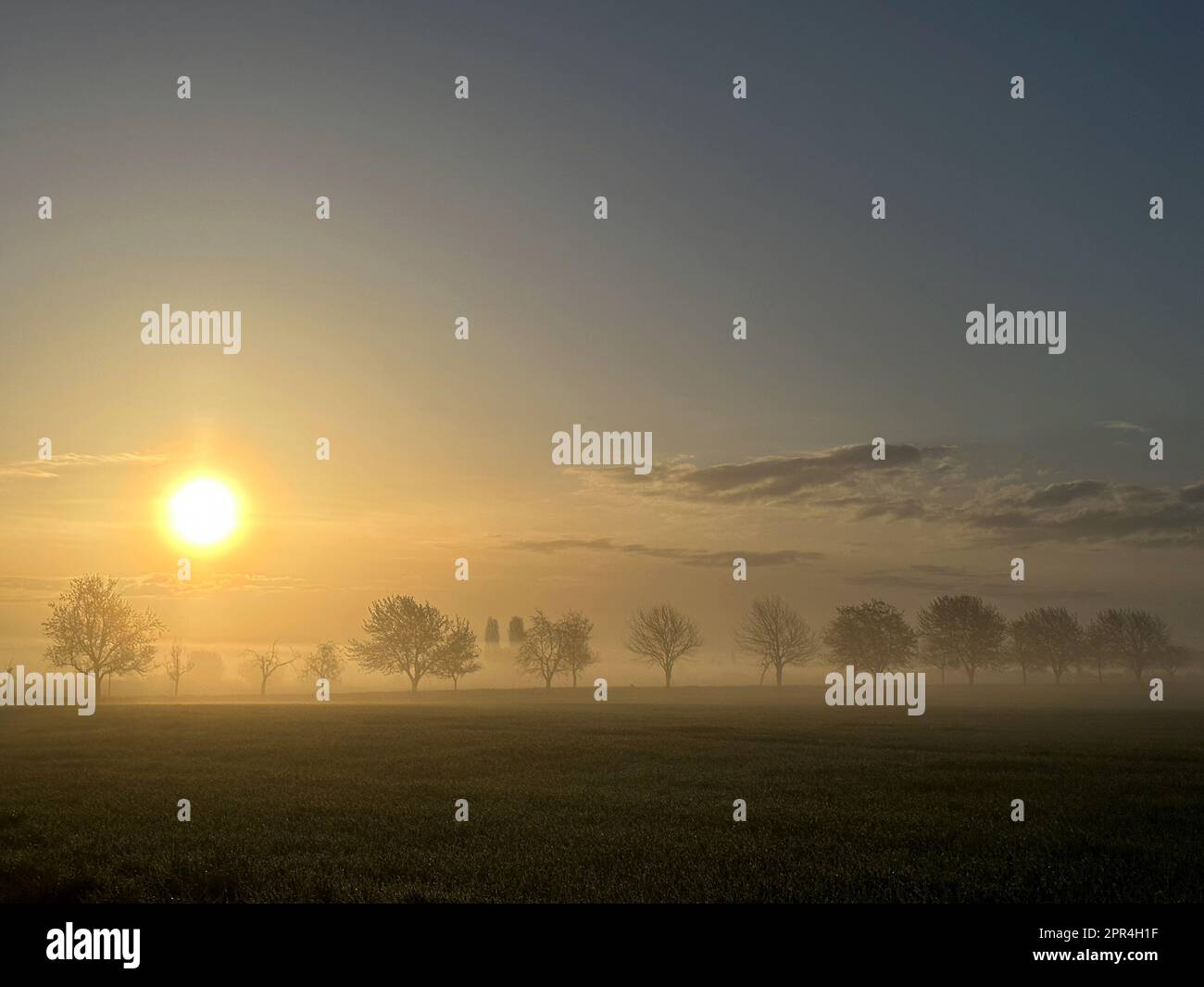 Early morning sunrise in a field Stock Photo - Alamy