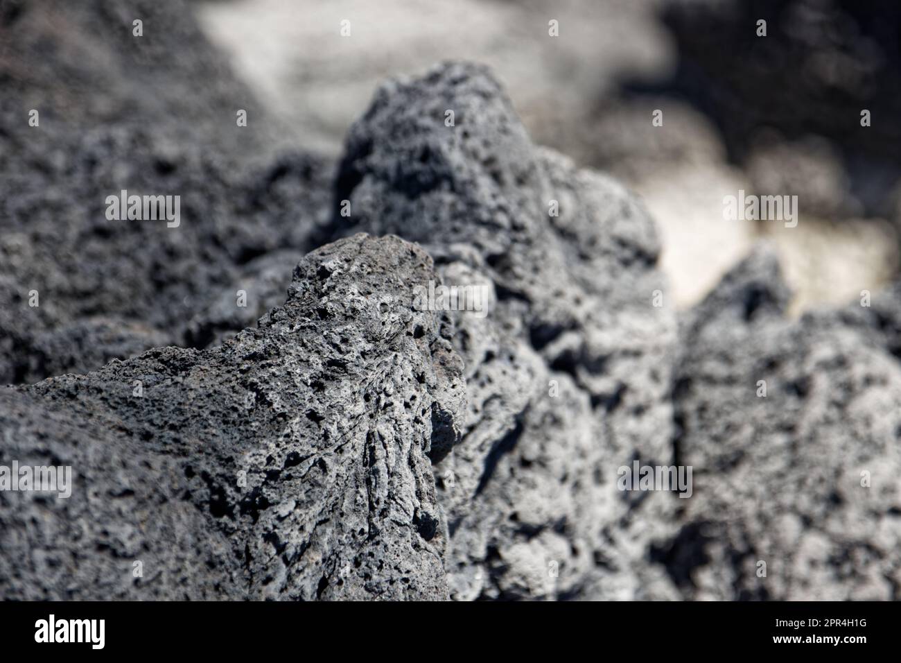 A close-up shot of the the volcanic rocks along the shores of Flores ...